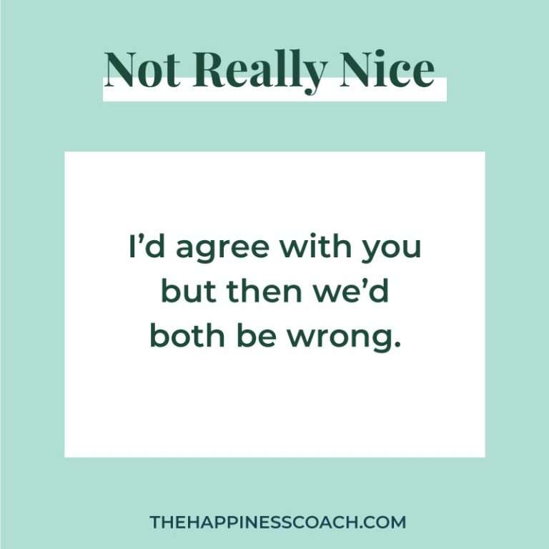 Why We Are Not Nice : 15 Possible Reasons - The Happiness Coach